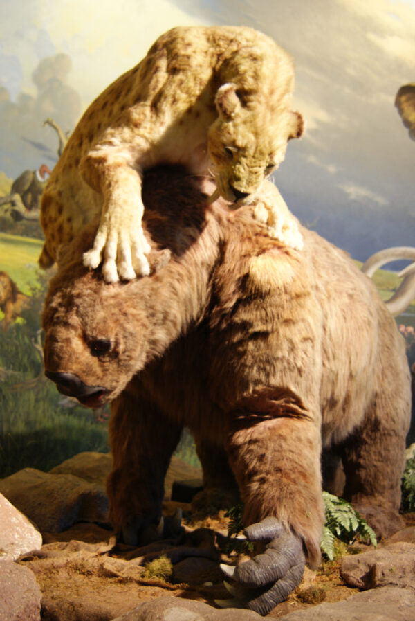 Giant Ground Sloths, Still Living Now? - Mystic Sciences